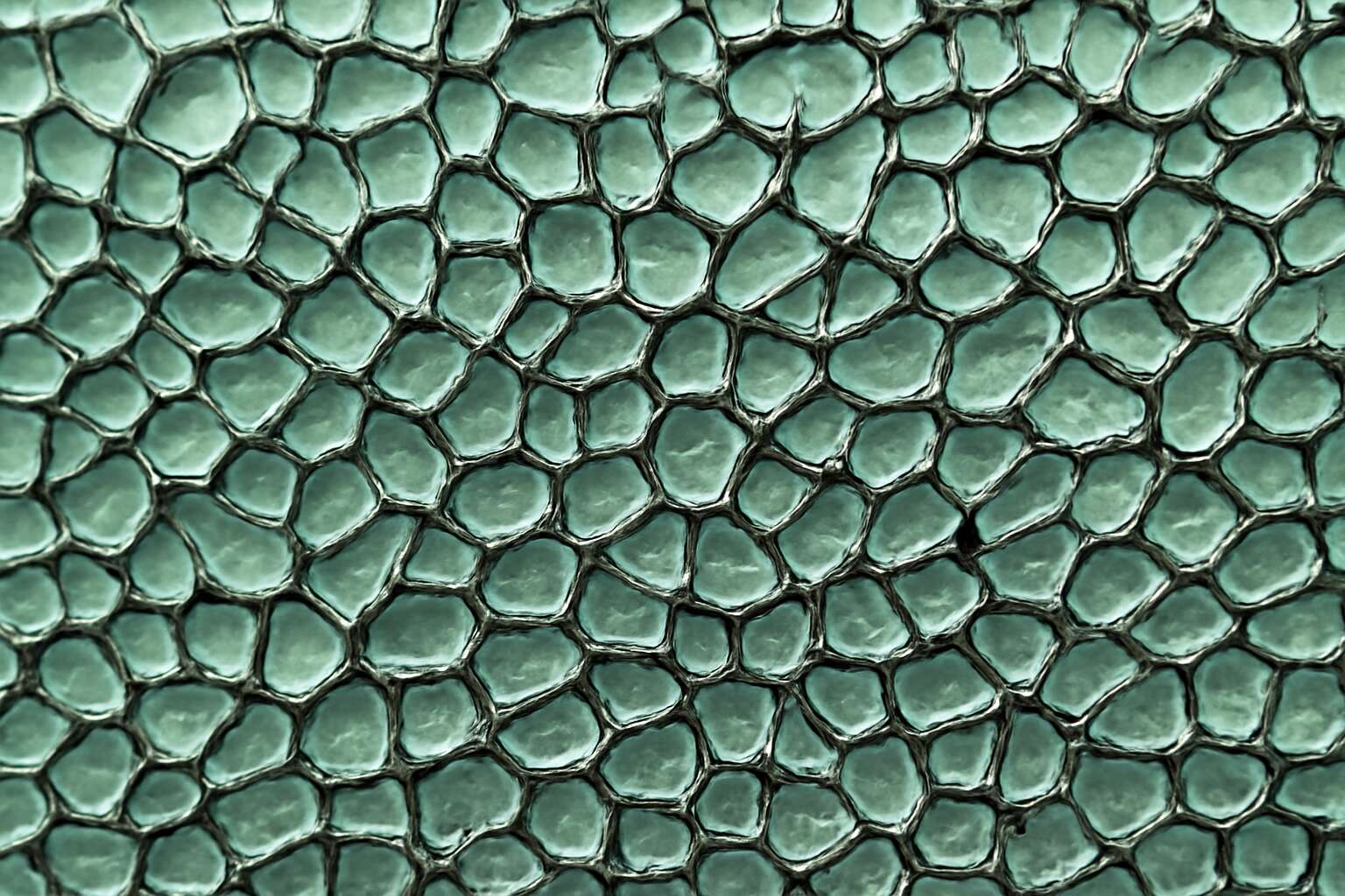 What Happens When Tempered Glass When Shattered: A Closer Look at Its ...